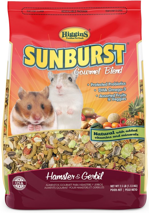Hamster Supplies & Accessories | Chewy