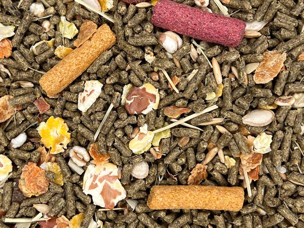 HIGGINS Sunburst Gourmet Blend Rabbit Food, 6-lb bag - Chewy.com