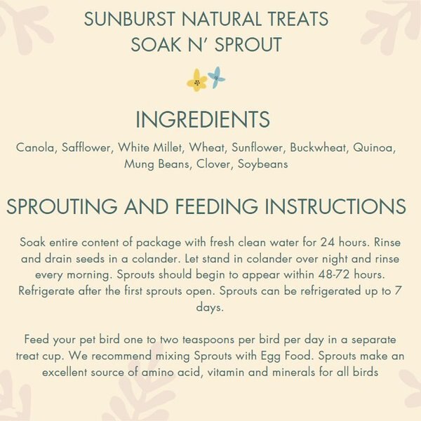 HIGGINS Sunburst Gourmet Soak N' Sprout Bird Treats, 3-oz bag - Chewy.com