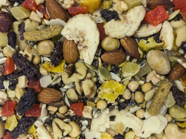 HIGGINS Sunburst Gourmet Treats Dried Fruits & Nuts Macaw & Conure Bird ...
