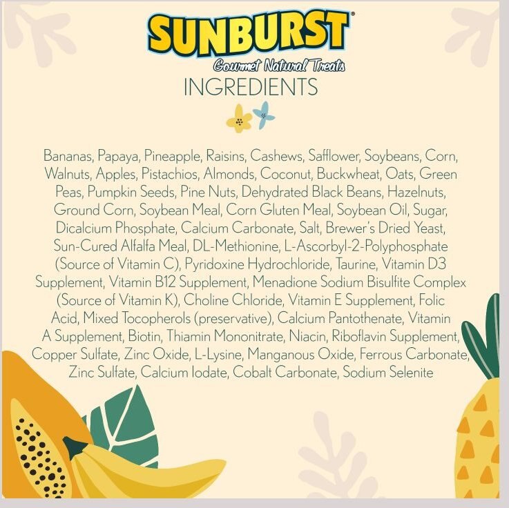 HIGGINS Sunburst Gourmet Treats Dried Fruits & Nuts Macaw & Conure Bird ...