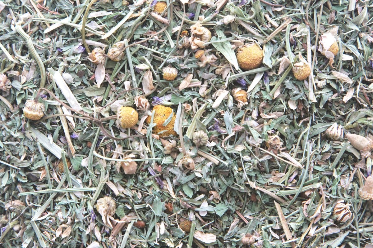 HIGGINS Sunburst Gourmet Treats Leafy Greens & Herbs Bird Food, 1-oz ...