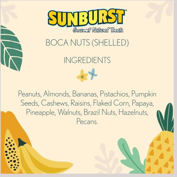 HIGGINS Sunburst Gourmet Treats No Shell Boca Nuts Macaw & Parrot Bird ...