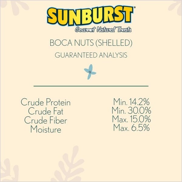 HIGGINS Sunburst Gourmet Treats No Shell Boca Nuts Macaw & Parrot Bird ...