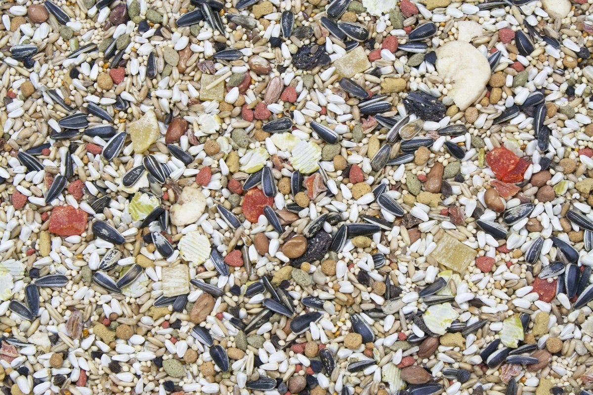 HIGGINS Vita Seed Conure & Lovebird Bird Food, 5-lb bag - Chewy.com