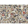 HIGGINS Vita Seed Conure & Lovebird Bird Food, 5-lb bag - Chewy.com