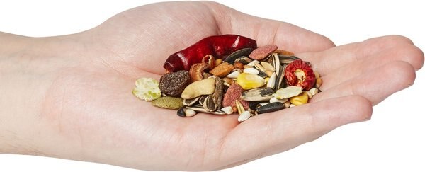 HIGGINS Vita Seed Parrot Food, 25-lb - Chewy.com