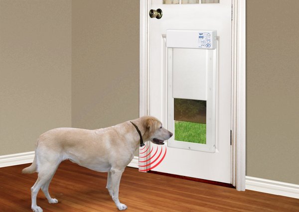 HIGH TECH PET PRODUCTS PX-2 Power Pet Fully Automatic Pet Door - Chewy.com