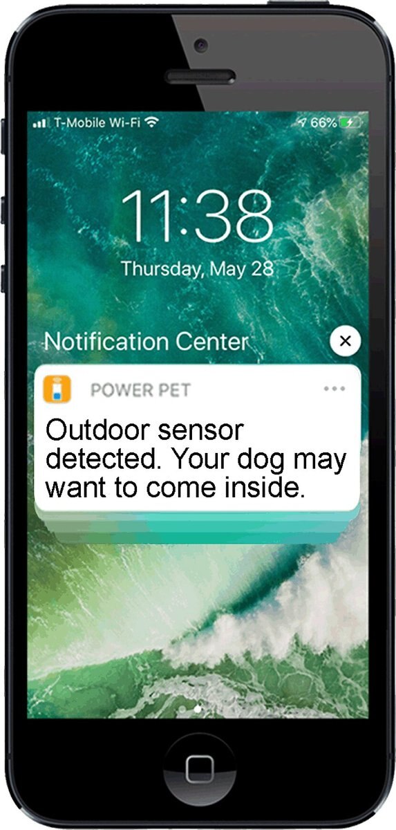 HIGH TECH PET PRODUCTS WiFi Enabled Smartphone Controlled Automatic Dog ...