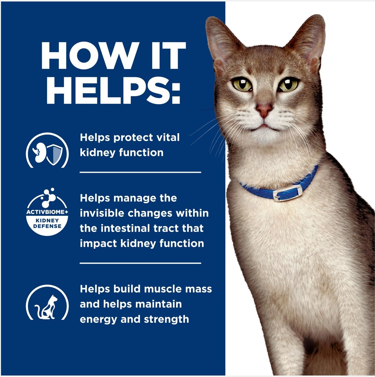 HILL'S PRESCRIPTION DIET k/d Kidney Care Starter Kit Variety Pack Cat ...