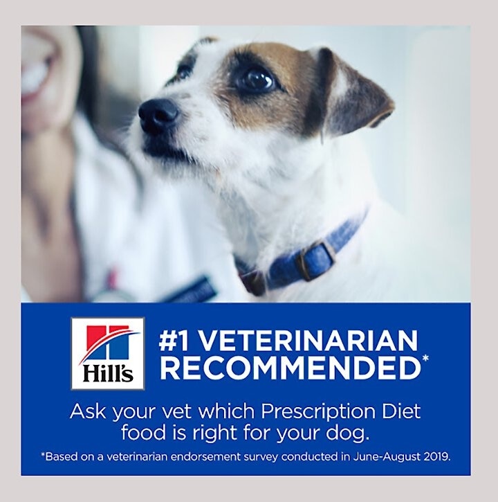 HILL'S PRESCRIPTION DIET u/d Urinary Care Chicken Flavor Wet Dog Food ...