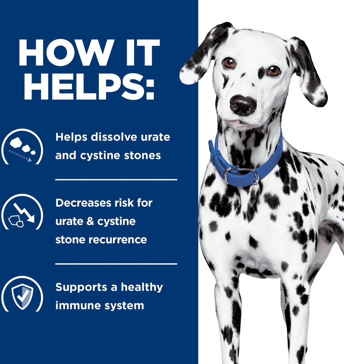 Hill's Prescription Diet u/d Urinary Care Original Dry Dog Food | Chewy ...