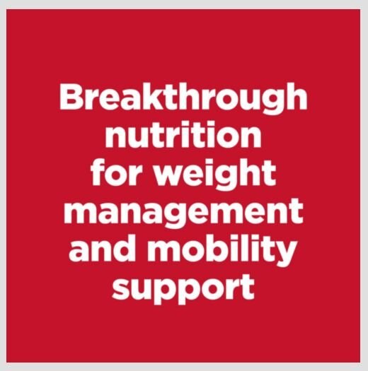 HILL'S SCIENCE DIET Perfect Weight Management & Joint Support Chicken ...