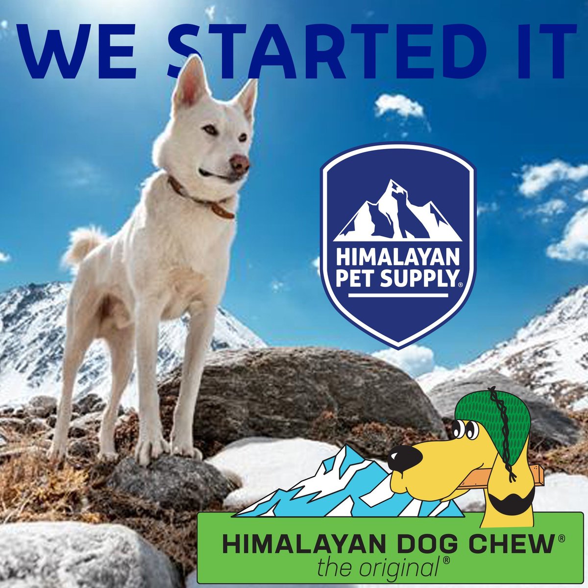 HIMALAYAN PET SUPPLY Himalayan Dog Chew Original Yak Cheese Dog Chews ...
