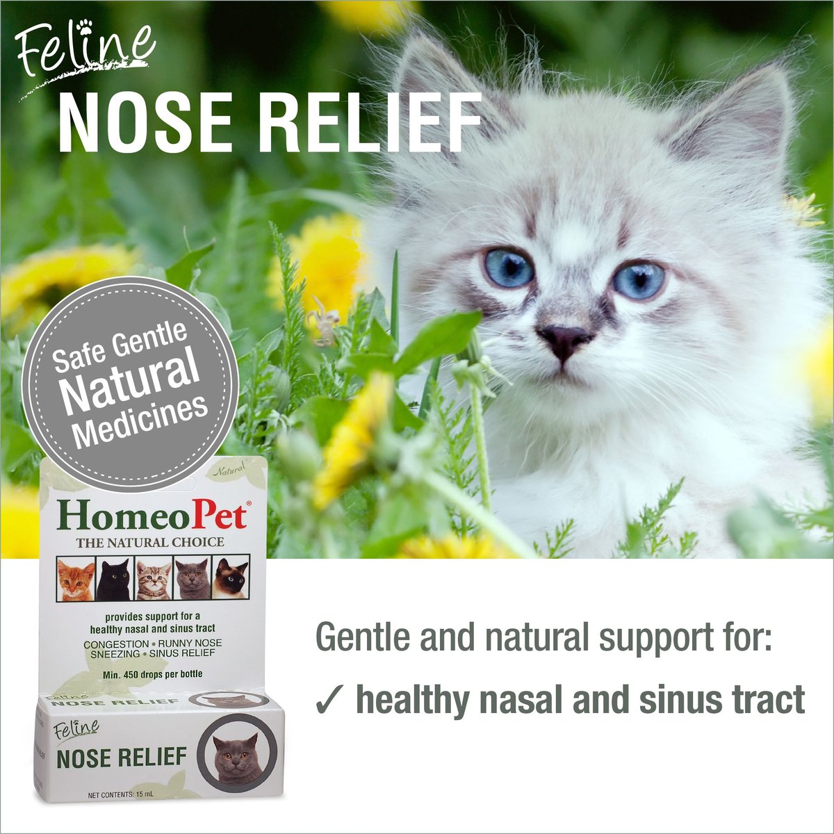 HomeoPet Feline Nose Relief Cat Supplement (Free Shipping) | Chewy