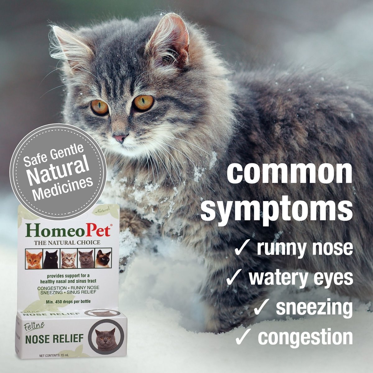 HomeoPet Feline Nose Relief Cat Supplement (Free Shipping) | Chewy