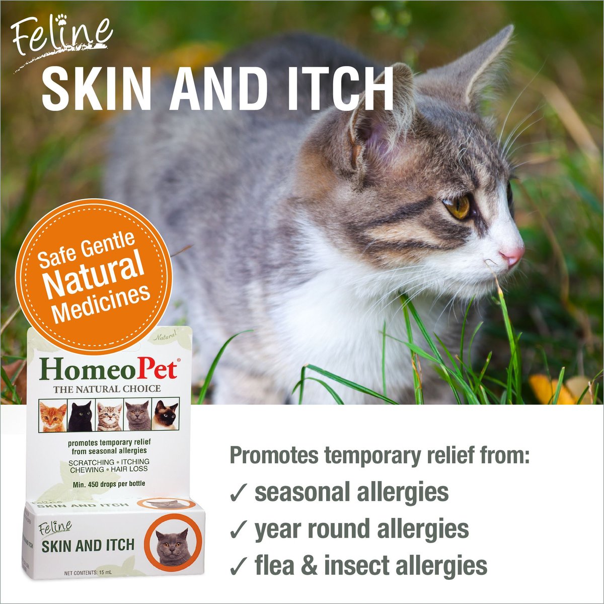 HOMEOPET Feline Skin & Itch Cat Supplement, 450 drops - Chewy.com