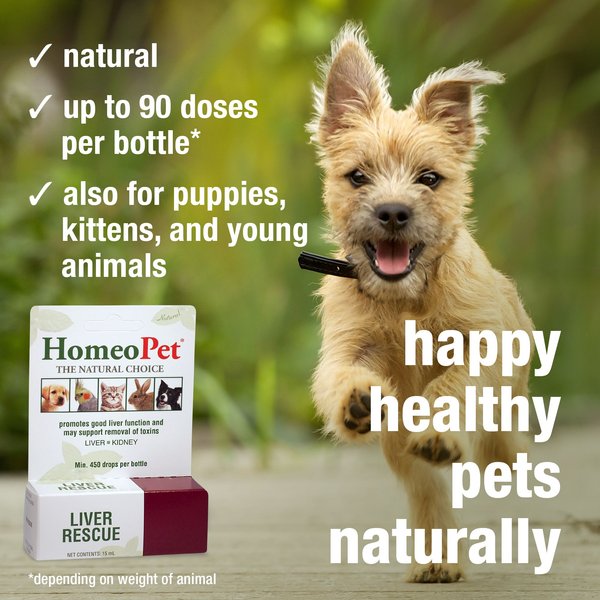 HOMEOPET Liver Rescue Homeopathic Medicine for Liver Disease for Birds ...