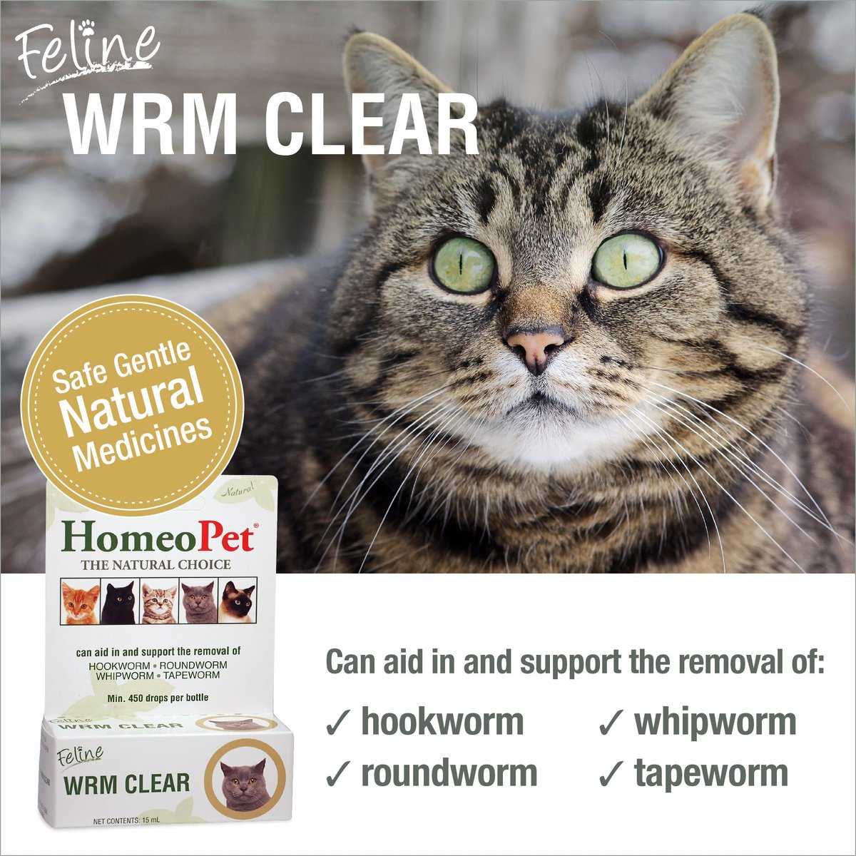 HOMEOPET WRM Clear Dewormer for Hookworms, Roundworms, Tapeworms ...