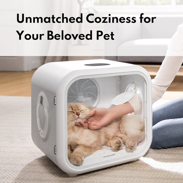 HOMERUNPET Drybo Plus Dog, Cat & Small Pet Dryer Box, White - Chewy.com