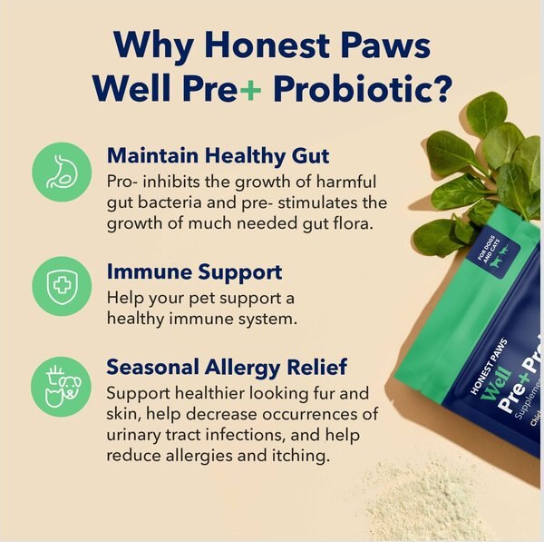 HONEST PAWS Well Pre+ Probiotic Digestive Support Chicken Flavored ...