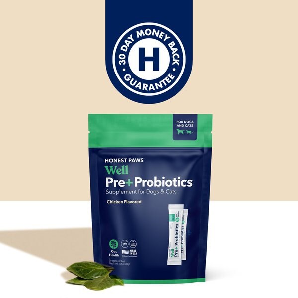 HONEST PAWS Well Pre+ Probiotic Digestive Support Chicken Flavored ...