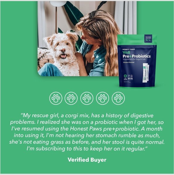 HONEST PAWS Well Pre+ Probiotic Digestive Support Chicken Flavored ...