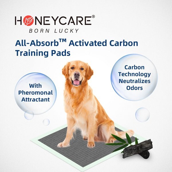 HONEYCARE All-Absorb Charcoal Carbon Eliminating Urine Odor Dog Training Pads, 28x34-in, 40 ...