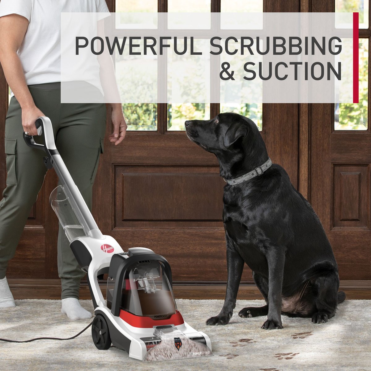 HOOVER PowerDash Pet+ Compact Carpet Cleaner - Chewy.com