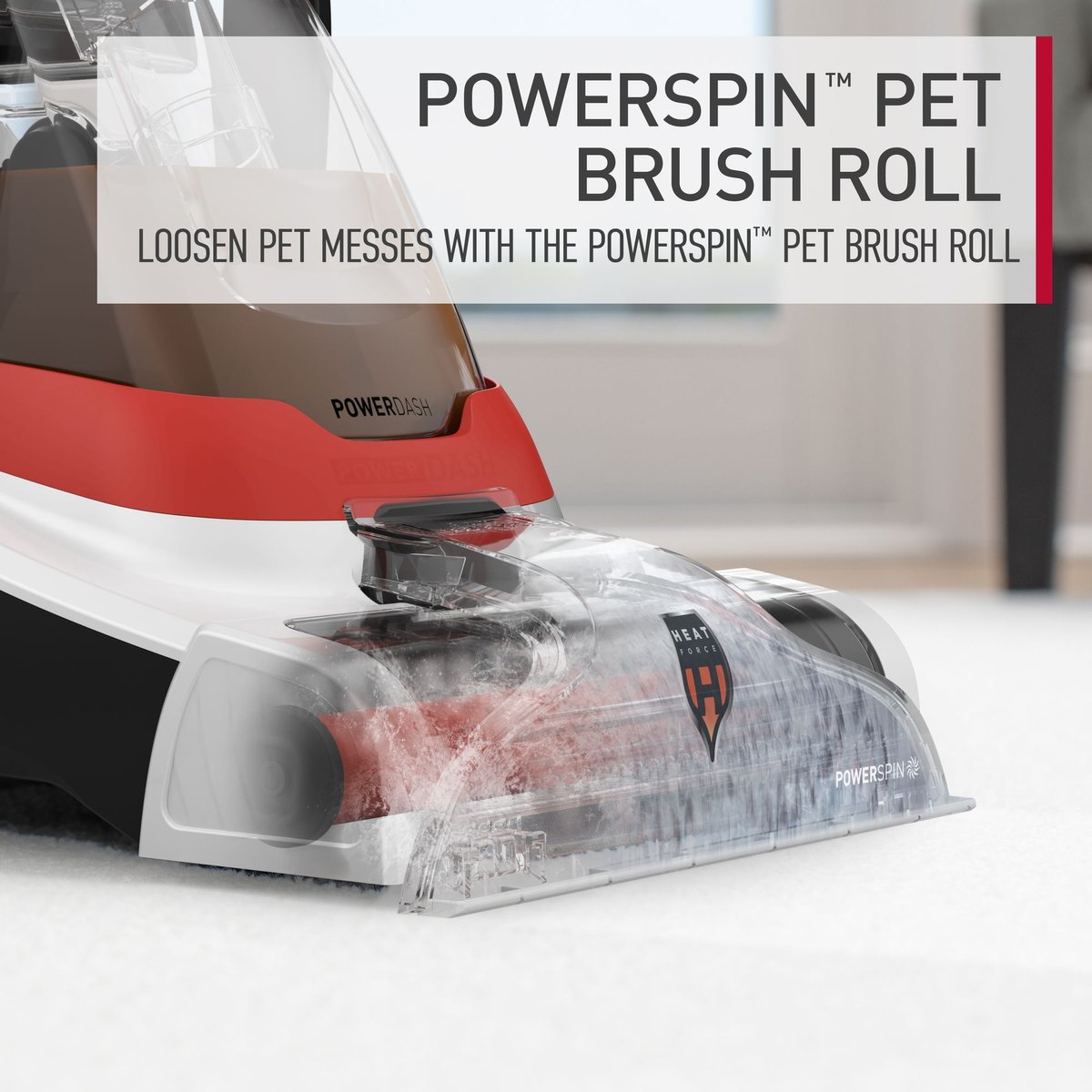 HOOVER PowerDash Pet+ Compact Carpet Cleaner - Chewy.com