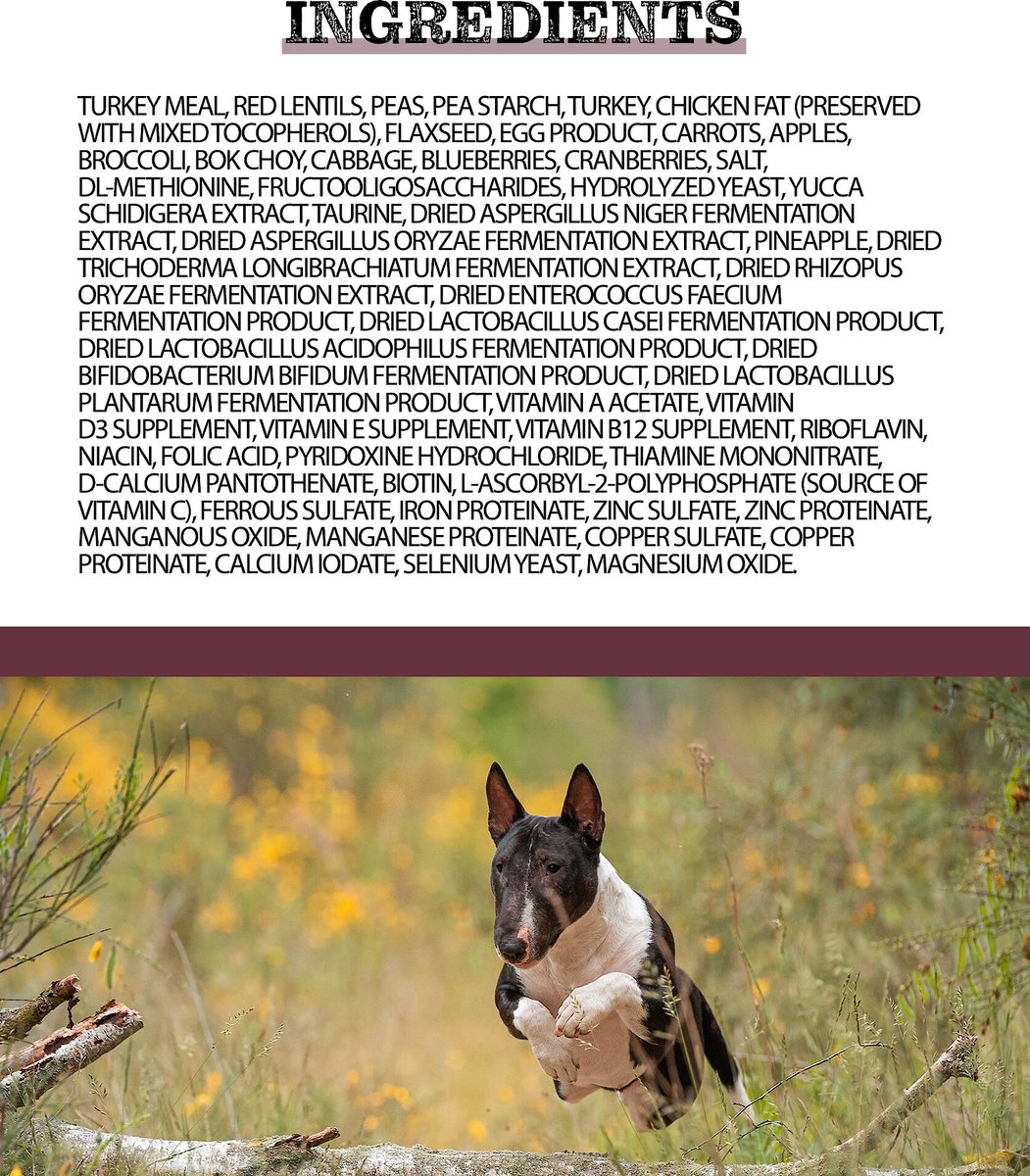 HORIZON Pulsar Grain-Free Turkey Recipe Dry Dog Food, 25-lb bag - Chewy.com