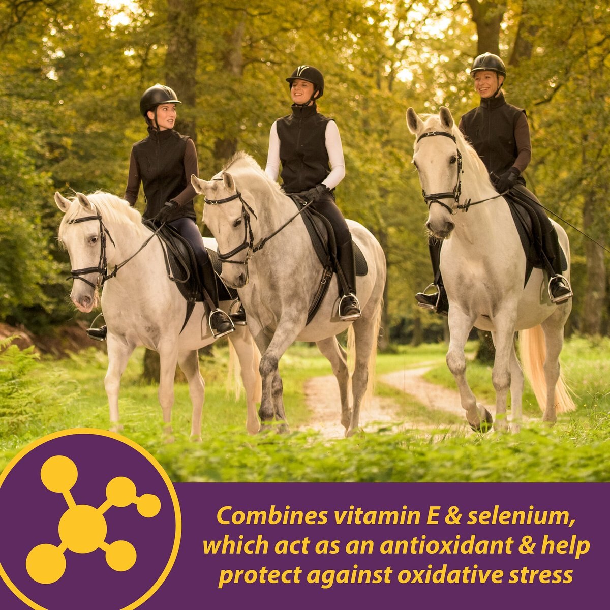 HORSE HEALTH PRODUCTS Vita-E & Selenium Crumbles Horse Supplement, 20 ...