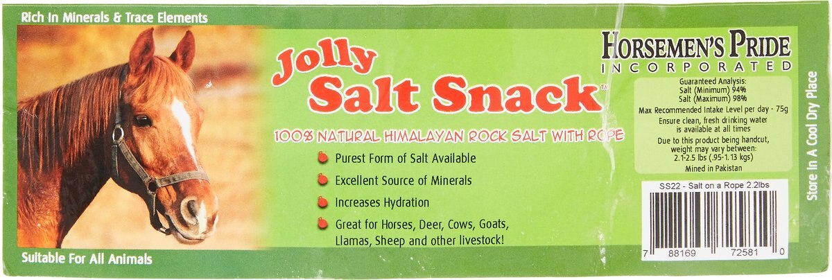 HORSEMEN'S PRIDE All-Natural Himalayan Salt on a Rope Salt Block Horse ...