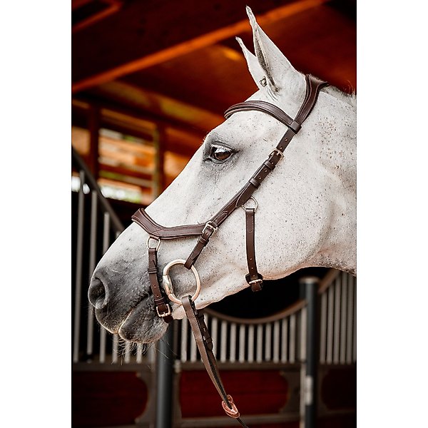 HORSEWARE IRELAND MICKLEM 2 Competition Horse Bridle with Reins, Brown ...