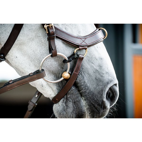 HORSEWARE IRELAND MICKLEM 2 Competition Horse Bridle with Reins, Brown ...