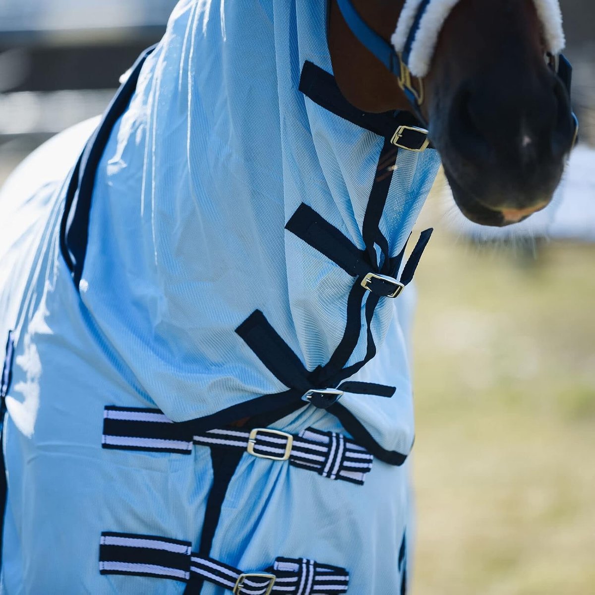 HORZE Freja Combo Flexi Neck Horse Fly Sheet, Light Blue, 78 - Chewy.com