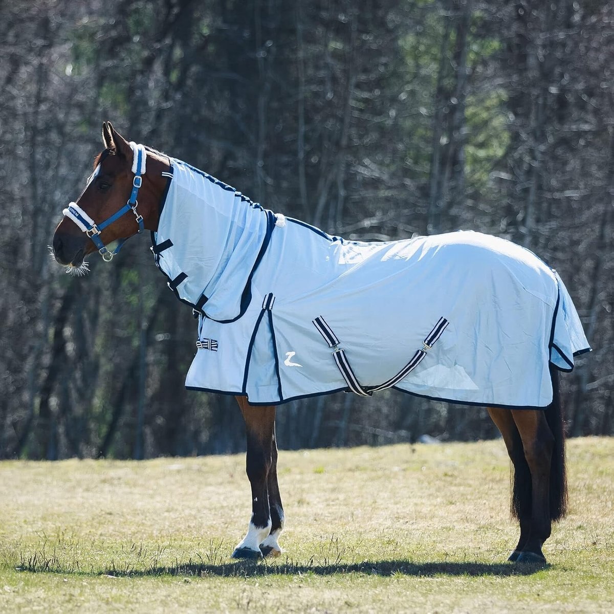 HORZE Freja Combo Flexi Neck Horse Fly Sheet, Light Blue, 78 - Chewy.com