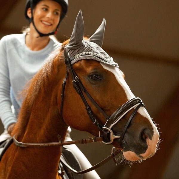 HORZE Grayson Classic Dressage Ergonomic Horse Bridle, Horse - Chewy.com