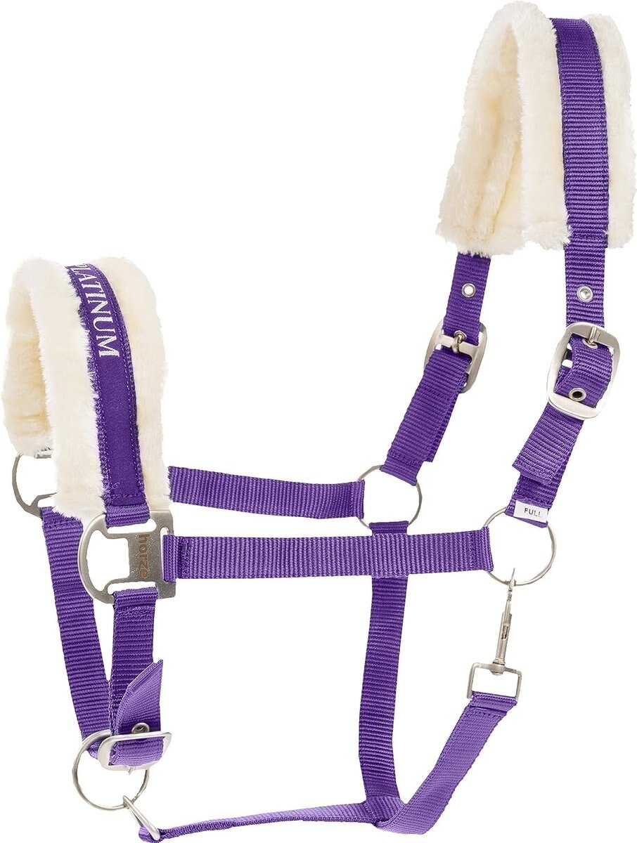 HORZE Howard Horse Halter, Purple, Horse - Chewy.com