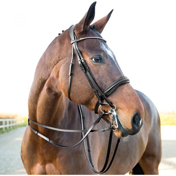SHIRES EQUESTRIAN PRODUCTS Leather Draw Horse Reins, Black - Chewy.com