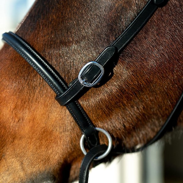 HORZE Leather Bitless Horse Bridle, Black, Horse - Chewy.com