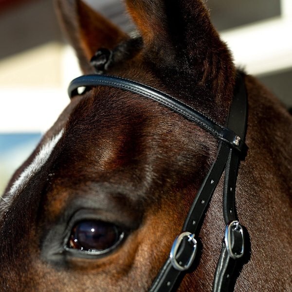 HORZE Leather Bitless Horse Bridle, Black, Pony - Chewy.com