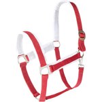HORZE Santa Horse Halter, Cob - Chewy.com