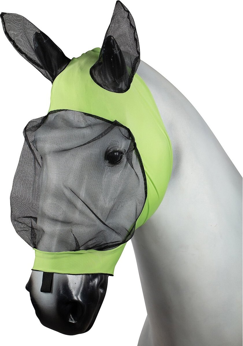 HORZE Soft Stretch Horse Fly Mask, Light Green, Cob - Chewy.com