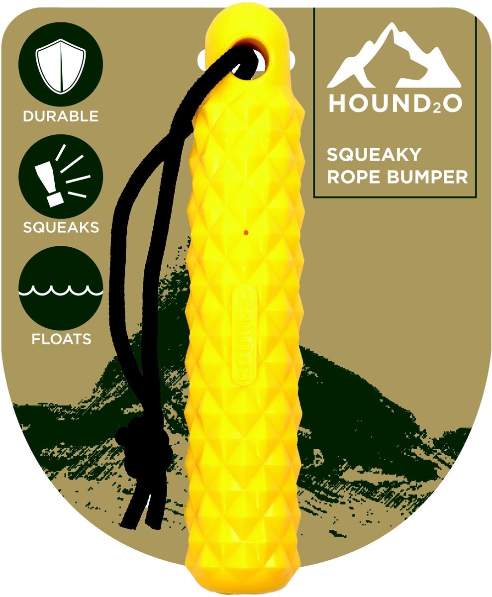 HOUND2O Rope Bumper Dog Toy, Yellow - Chewy.com