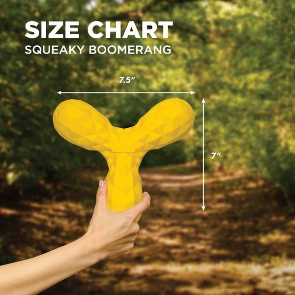 HOUND2O Squeaky Boomerang Dog Toy, Yellow - Chewy.com