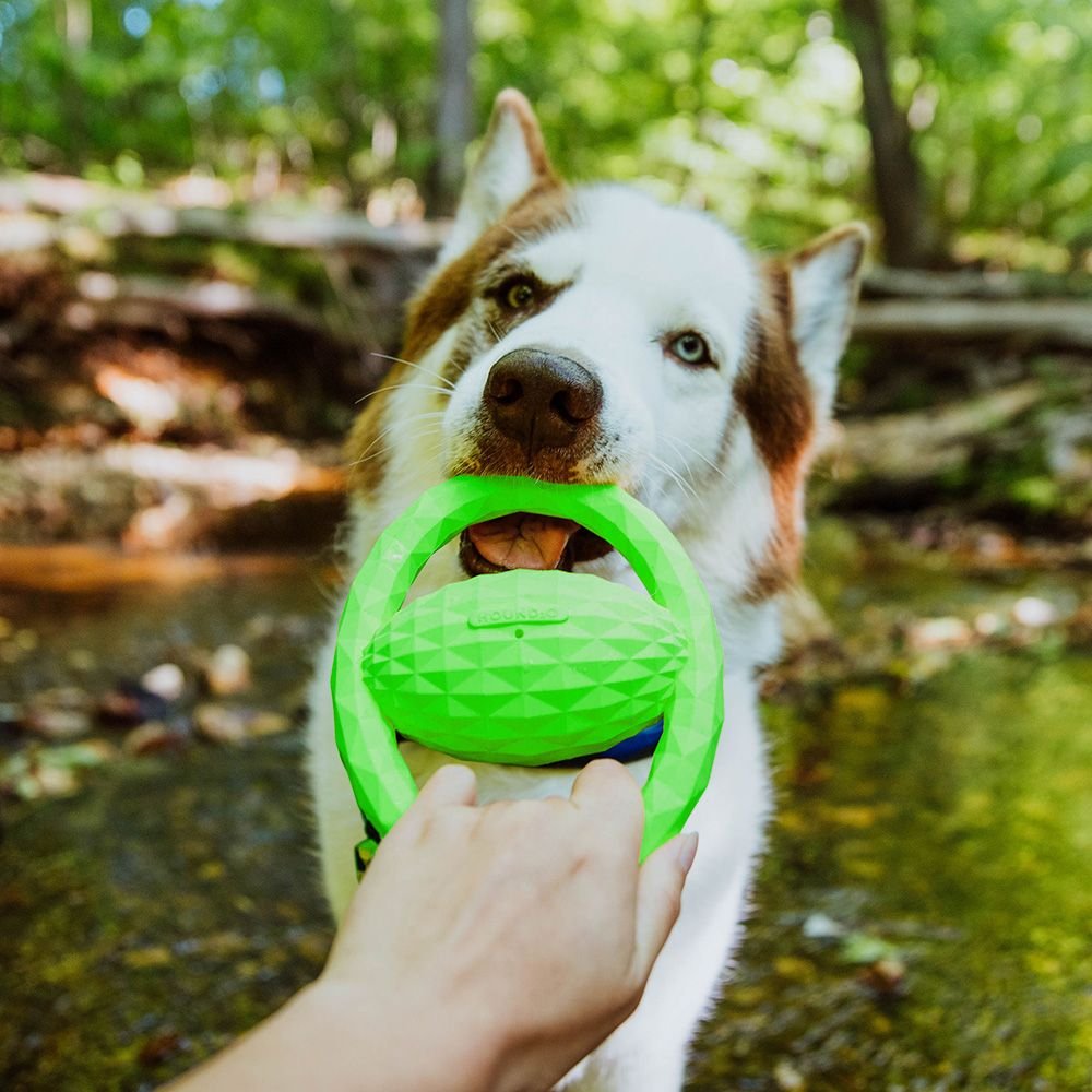 HOUND2O Squeaky Tug Ball Dog Toy, Green - Chewy.com