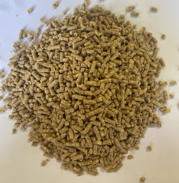 HUDSON FEEDS Poultry Feeds 24% Pellet Game Bird Food, 50-lb bag - Chewy.com