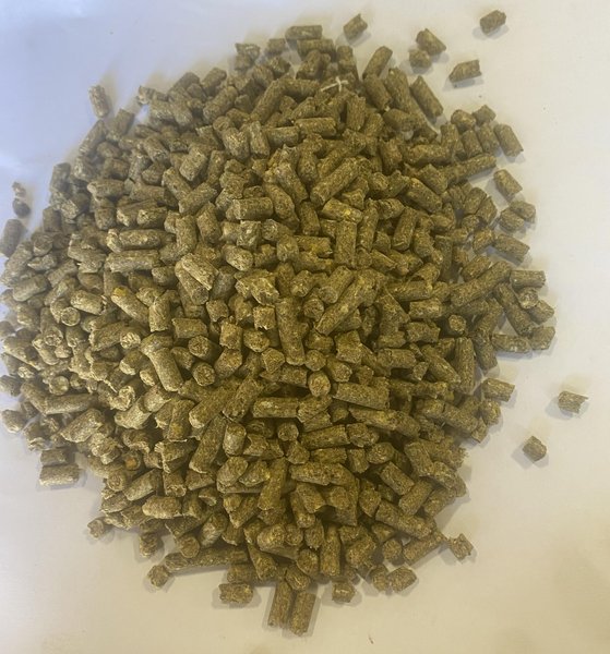 HUDSON FEEDS Swine Feeds Pot Bellied Pig Food, 50-lb bag - Chewy.com