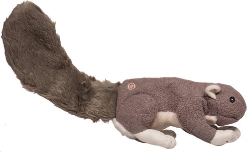 Squirrel Dog Toy (Free Shipping) | Chewy
